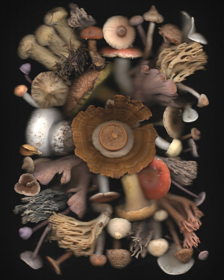 Meet Grace Duda, Featured Artist for Wait Until Dark - Harlequin